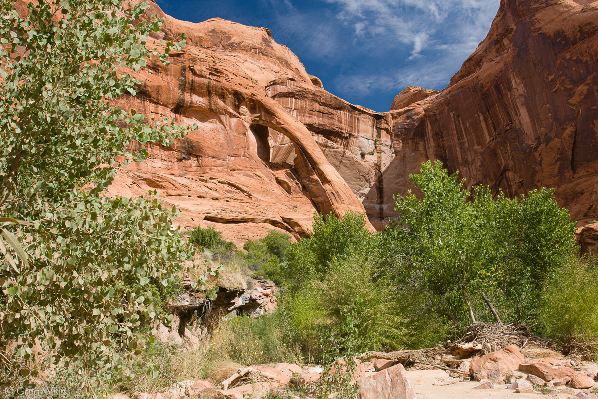 Coyote Gulch Day Hike - Greg Willis